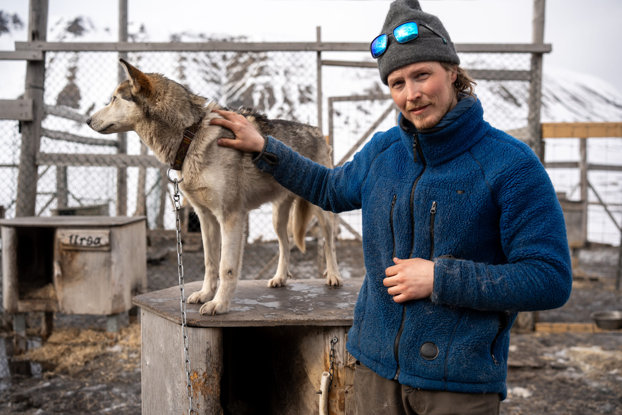 Meet our dogs - Basecamp Explorer